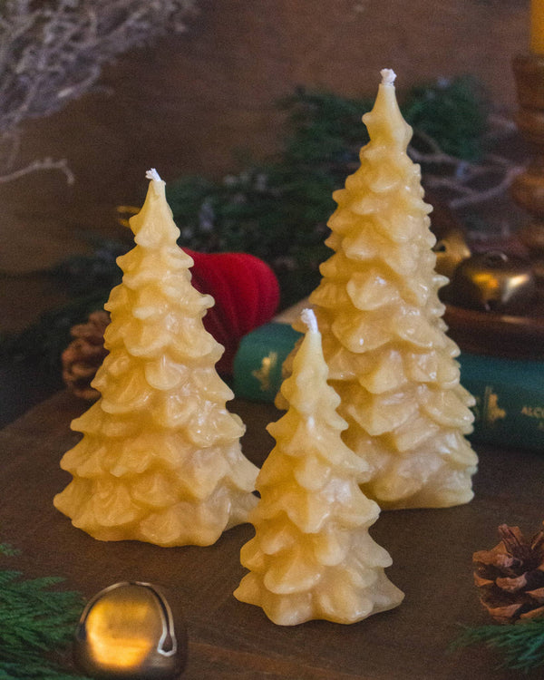 Beeswax Tree Candle: Small - Thunder Moon Collective