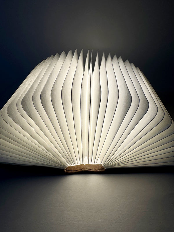 Ginkgo: Smart Book Light (Mini) - Thunder Moon Collective