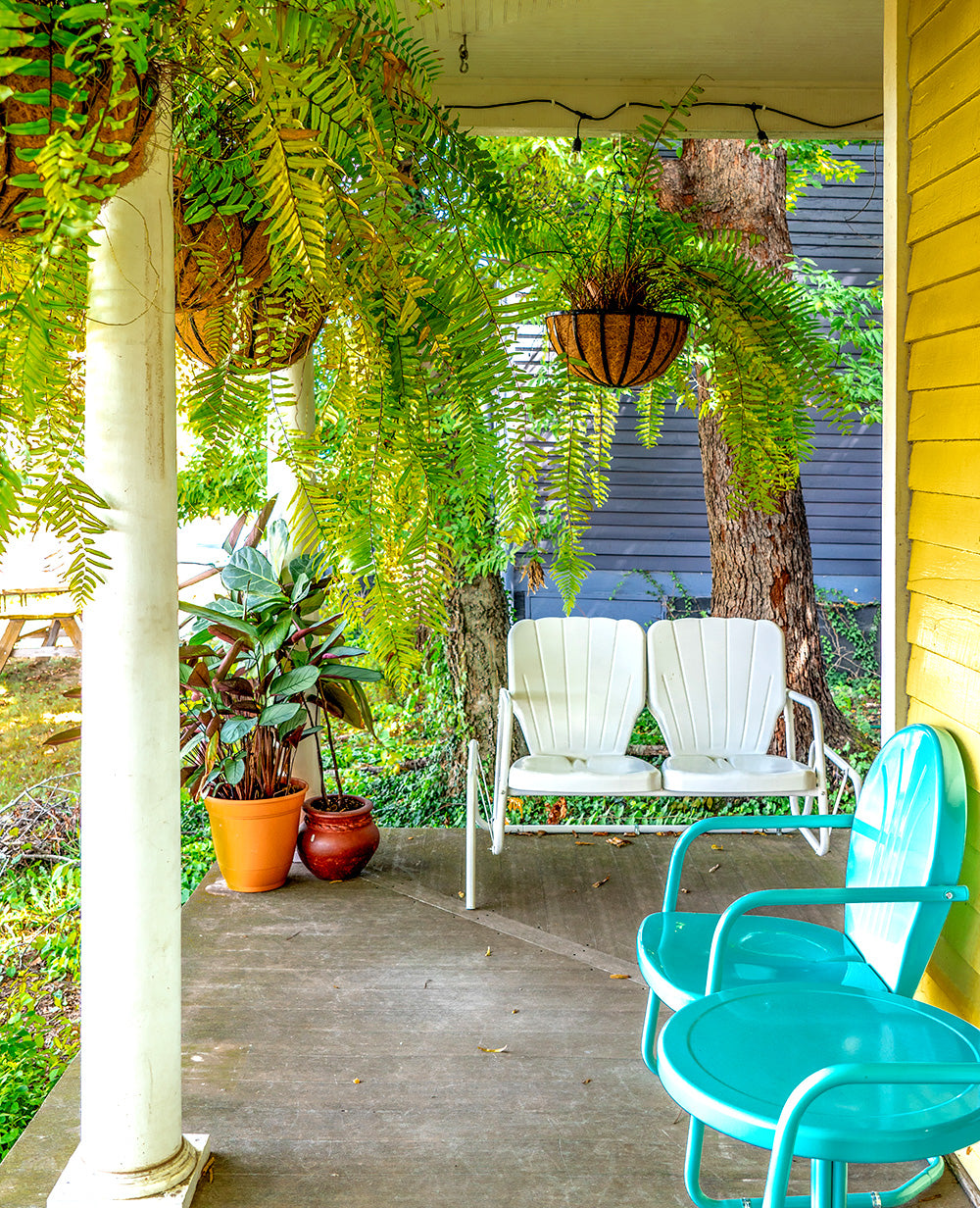 Community - Thunder Moon Collective